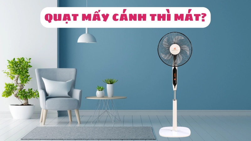 Quạt mấy cánh thì mát - Nên mua 3 cánh hay 5 cánh